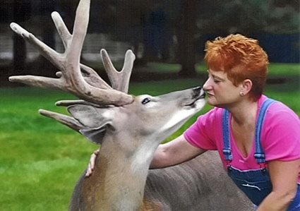 PA Great Outdoors: 29 Years of Friendly Deer at Cook Forest’s Double ...