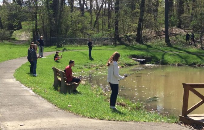 CookForest.com – Cook Forest State Park's #1 Source for Information